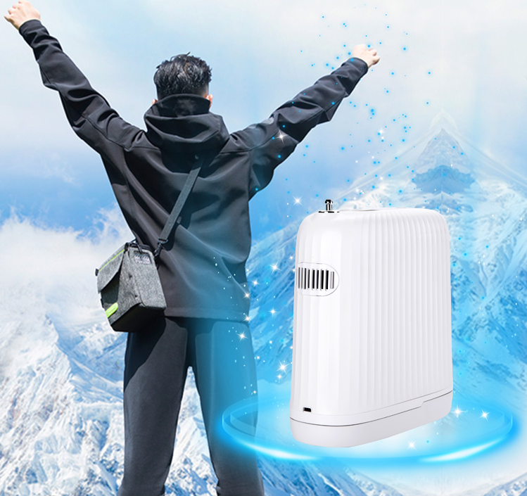 Lightweight 8 Hours Battery Mini Portable Oxygen Concentrator | 5LPM ...